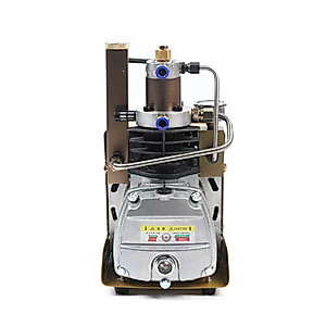 BJTDLLX 4500Psi High-Pressure Electric PCP Air Compressor, 110V 30MPa Scuba Diving Pump, Water Pump Water-cooled with Water Pipe, for Fire Fighting and Diving, Pressure and Leakage Testing