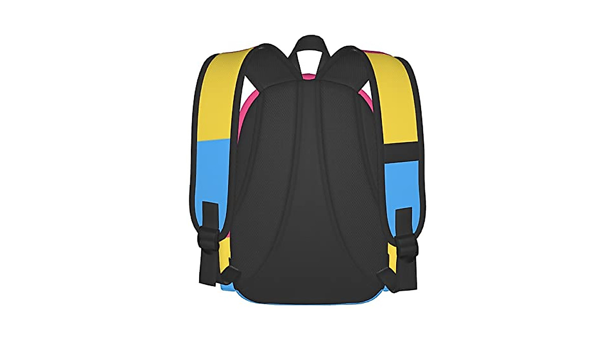 DGHREAW Pansexual Pride Flag Backpack – Stylish & Waterproof Backpack
