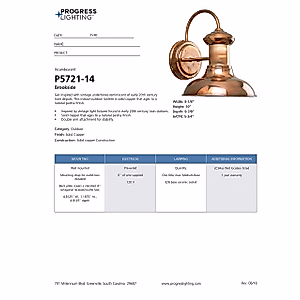 Progress Lighting P5721-14 Brookside Outdoor, 8-Inch Width x 9-3/4-Inch Height, Brown