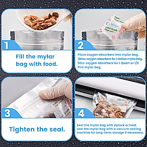 Wisesorb Oxygen Absorbers for Food Storage 300CC 100 Packets, Food Grade Oxygen Absorbers, O2 Absorbers Food Grade for Food Storage