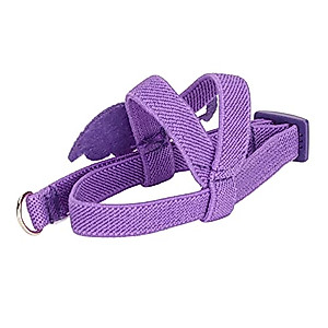 Bird Harness Leash Purple Bird Harness and Leash Pet Outdoor Flying Rope Bird Flying Harness Traction Rope for Parrots Pigeons Birds Purple