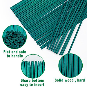 PERSZEN Plant Stakes 50 PCS Garden Green Bamboo Sticks Plant Support Stakes for Indoor and Outdoor Plants, Wooden Sign Posting Flower Pot Garden Stakes(15" 25pcs+17" 25pcs)