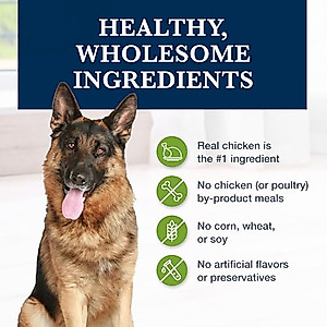 Blue Buffalo Natural Veterinary Diet GI Gastrointestinal Support Dry Dog Food, Veterinarian's Prescription Required, Chicken, 6-lb Bag