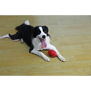 WapaW Owl Squeaky Dog Toy - Natural Rubber Treat Dispensing Dog Toys for Small & Medium Dogs, Indestructible Dog Chew Toys for Aggressive Chewer, Tough Dog Toothbrush Toy (Red Owl)