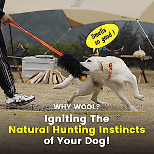 HOWGO Dog Rope Toy,Dog Bungee Chaser Toy 100% Sheepskin,Sheep Smell Tug Toy for All Breeds (Purple, Large)