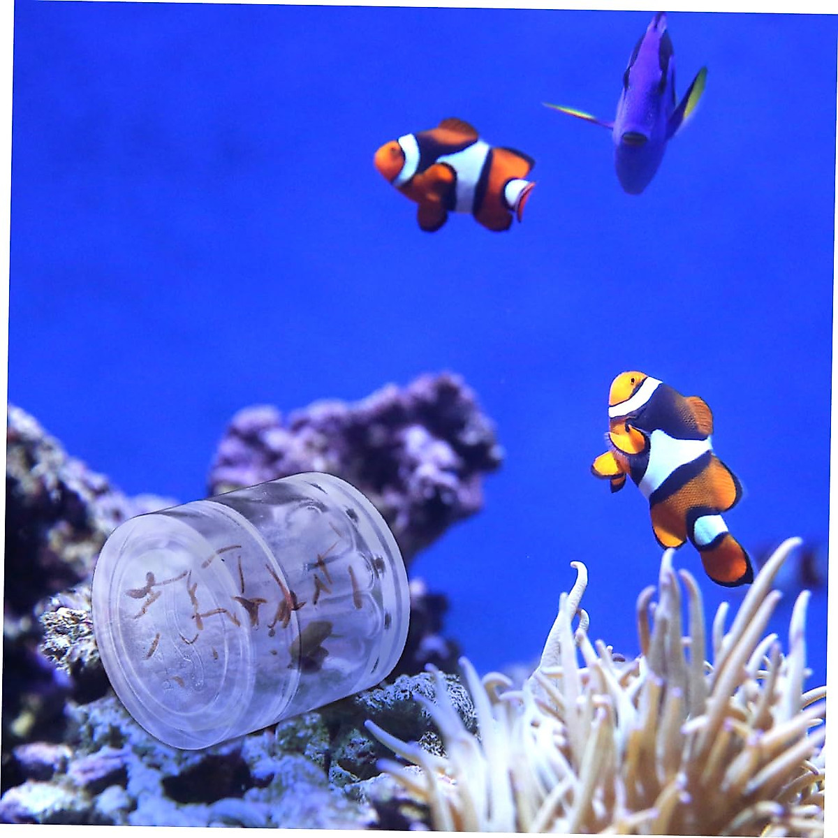 Aquarium Tank Trapper Tube Trap Tube Catcher