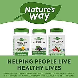 Nature's Way Black Elderberry, 1,150 mg per serving, 100 VCaps (Packaging May Vary)