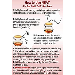 The NEAT Glass The Experience Neat Whiskey Glass Official Competition Judging Glass (1)