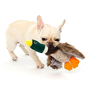 Duck Dog Toys for Aggressive Chew, Squeaky Dog Toy,Plush Puppy Dog Chew Toy for Small Medium Dogs