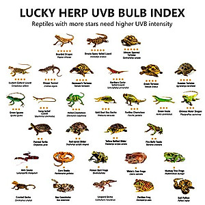LUCKY HERP UVA UVB Reptile Light 10.0, Desert UVB 150 Compact Fluorescent Lamp 23W