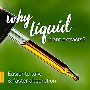 Herb Pharm Certified Organic Turmeric Root Extract for Musculoskeletal System Support - 1 Ounce (DTURM01)