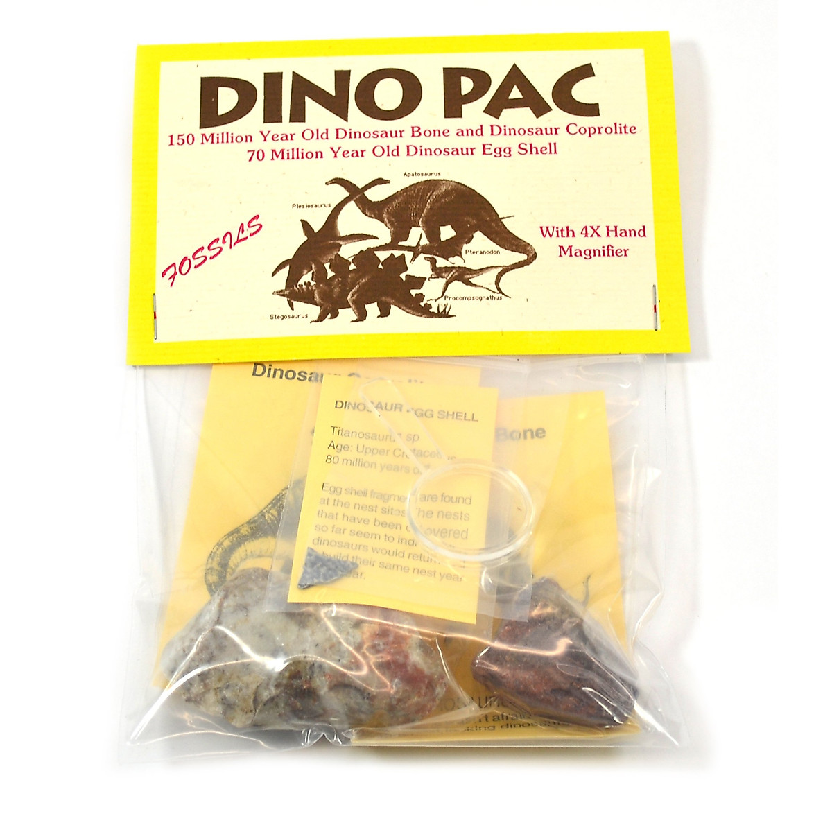 Rare Fossil Dino Pac - Real Dinosaur Egg, Bone, and Dung Fossils with Info Cards, Geologic Timescale, and 4X Magnifier