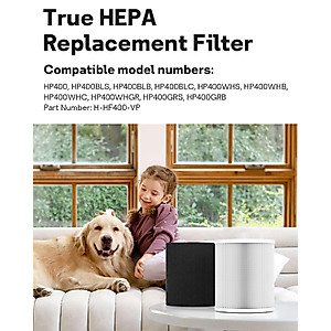 Leemone H-HF400-VP True HEPA Filter Replacement Kit with H-PF400 Pre-Filter Compatible with Hunter HP400 Air Puri-fier Series (2 HEPA Filter & 8 Pre-Filters)
