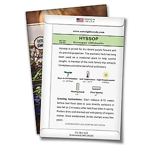 Sow Right Seeds - Anise Hyssop Seed for Planting - Medicinal Herb to Plant in Your Home Garden - Attracts Pollinators - Stunning Purple Flowers - Non-GMO Heirloom Seeds - Great Gardening Gift