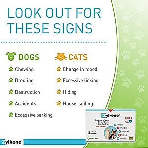 Vetoquinol Zylkene Behavior Support Capsules for Small Dogs and Cats, Calming All Natural Milk Protein Supplement, Helps Relieve Dog Anxiety and Cat Anxiety During Fireworks and Thunder, 75mg