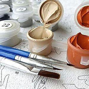 Paint by Numbers Kit for Adults Beginner Kids, Peaceful Mountain Lake Pattern Pre Pattern Acrylic on Canvas Painting DIY Paintwork Drawing Art - Home Wall Decor Birthday Choice -16x20 inches[No Frame]111