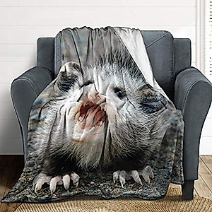 Flannel Fleece Throw Blanket Baby Possum Pattern Breathable Air-Conditioned Quilts for Camping Traveling Cozy Warm Bed Blanket for Women Men, 30 x 40 in