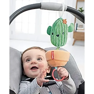 Skip Hop Baby Stroller Toy, Farmstand Grow & Play Jitter, Cactus