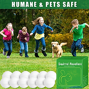 24 Pack Squirrel Repellent, Squirrel Repellent Outdoor for Attic Garden Cars, Squirrel Deterrent, Keep Squirrels Out Bird Feeder, Chipmunk Repellent, Squirrel Stopper