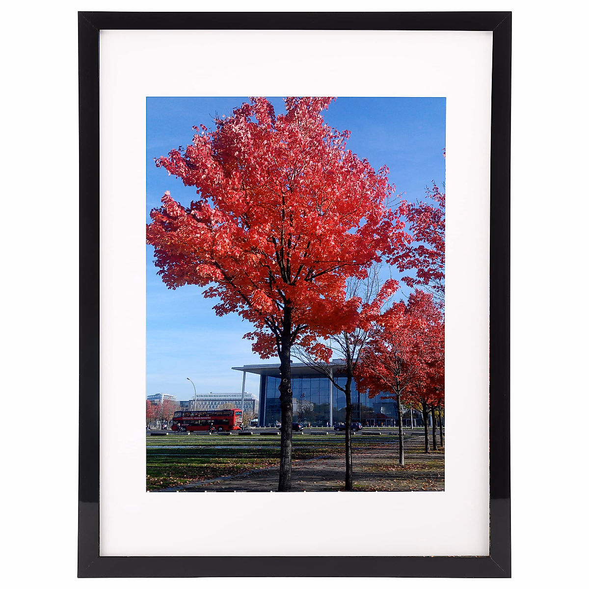 Medog 11x14 Picture Frame Black Poster Frame 11x14 8x10 Picture Frame In Black With Mat Opening 8x10 Set of 1 Display Pictures 11x14 Inch or 8x10 Black Picture Frame Wall Mounting (P1U 1P BA)