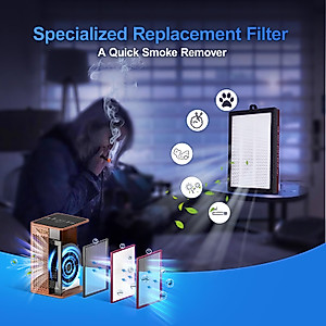 2 Pack Air Purifier Replacement Filter Compatiable with 25 B1/S1/W1 Air Purifier 3-in-1 H13 True Hepa Activated Carbon Filters Set, For Wildfire Smoke, Dust,Odor, Pet Dander (white)