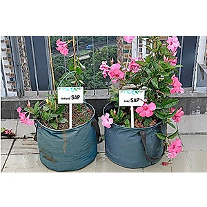 Water Storing Crystals Super Absorbent Hydro Gel Granules Polymer 1 Pound (Small Granular_20-100 mesh)