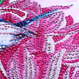 HAPPIShare Diamond Painting Kits for Adults – 5D DIY Diamond Number Kits with Full Drill – Crystal Rhinestone Diamond Embroidery Paintings Great for Home, Office, Wall Deco