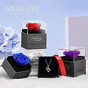 WILDLOVE Preserved Real Red Rose with Necklace in 100 Languages, Gifts for Mom Girlfriend Wife and Grandma on Mothers Day, Anniversary Birthday Gifts for Women
