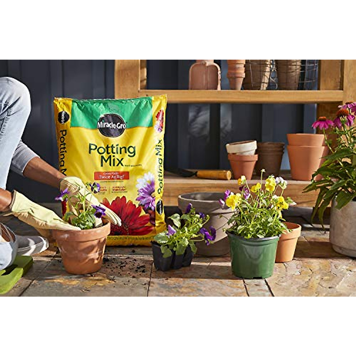 Miracle-Gro Potting Mix, 16 qt., 2-Pack