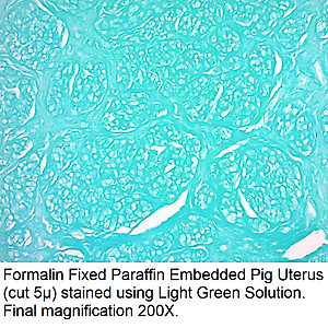 Light Green Solution, 1 Gallon