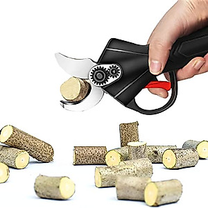 HOOUP Electric Pruning Shears for gardening tree trimming,Professional Cordless Electric Pruning  with 2 PCS Rechargeable 2Ah Lithium Battery and 25mm Cutting Diameter, Tree Branch Pruner (Black)