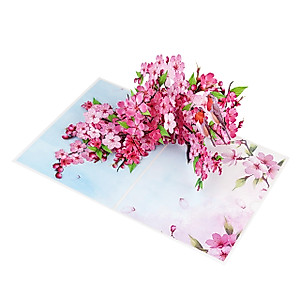 Mothers Day Card, Pop Up Valentines Day Birthday Anniversary Cards, 3D Get Well Soon Thank You Card (Size 6x8 In – Cherry Blossom Robins Couple).
