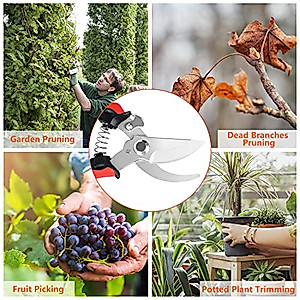 Pruning Shears, Professional Garden Branch Scissors Clippers Set, Bypass Gardening Hand Pruners Tools Kit, Stainless Steel Sharp Cutter Secateurs