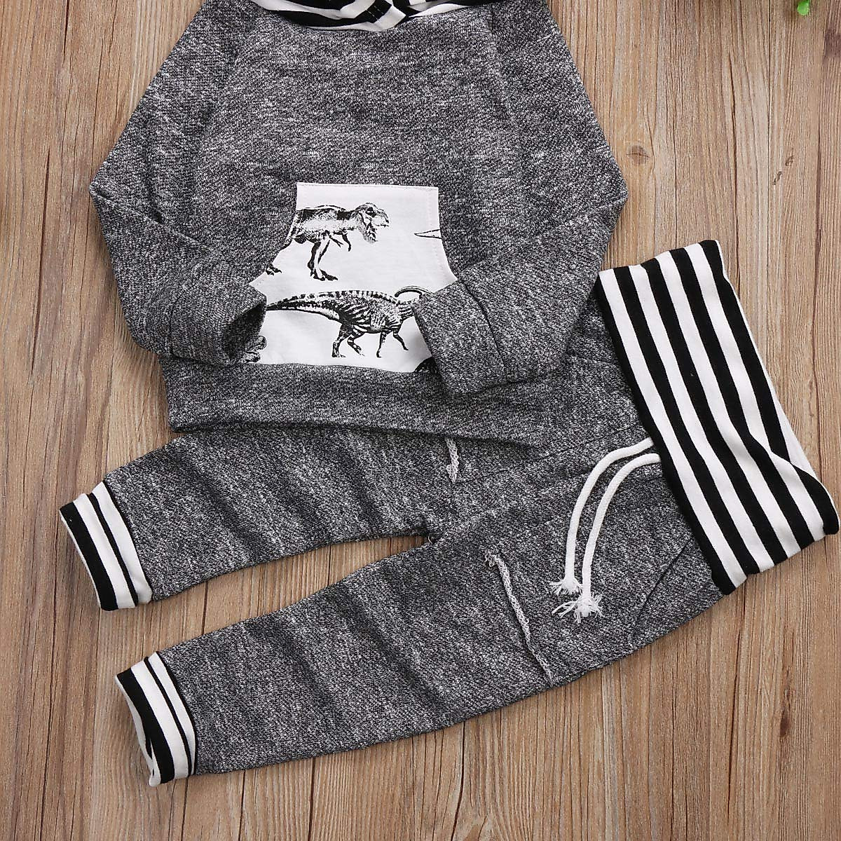 Toddler Infant Baby Boy Girls Clothes Hoodie Fall Winter Sweatsuit Pants Gender Neutral Long Sleeve Outfit Set(18-24 Months, Dinosaur)