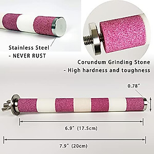 Rough-surfaced Bird Perch Beak Grinding Rod and Stainless Steel Safe Non-Toxic Durable Bird Stand for Parakeets, Conure and Other Small and Medium-Sized Birds 7.9" -Green