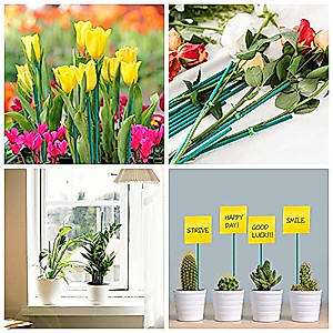 Jollybower 50pcs Green Wooden Garden Stakes, 16 inch Natural Green Bamboo Sticks, Floral Plant Support Wooden, Wooden Sign Posting Garden Sticks Support Floral Plant, Tomato Stakes, Potted Plants