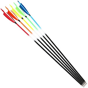 AMEYXGS 12Pcs Archery 30Inch Carbon Arrow Target Practice Hunting Arrow Spine 500 with 5inch Shield Turkey Feather Removable Tips for Traditional Recurve Compound Bow Longbow (Red1, 12)