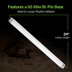 2 Pack 18W-Watt T8 Reptile Light Desert UVA UVB 10.0 Fluorescent Tube - 24" Terrarium Hood Light Suitable for Desert Reptile Lizards Bearded Dragons & More Promotes Natural Behavior UVB Bulb (24 Inch)