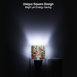 Christmas Red Birds Night Light Set of 2, Winter Snow Auto Sensor LED Dusk-to-Dawn Nightlights, Plug-in Sensor Lamp for Bedroom Bathroom Kitchen Hallway Stairs Decorative