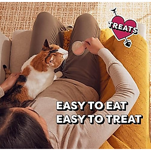 Temptations Lickable Spoons Adult Wet Cat Treat, 10 Grams, Variety Pack of 24