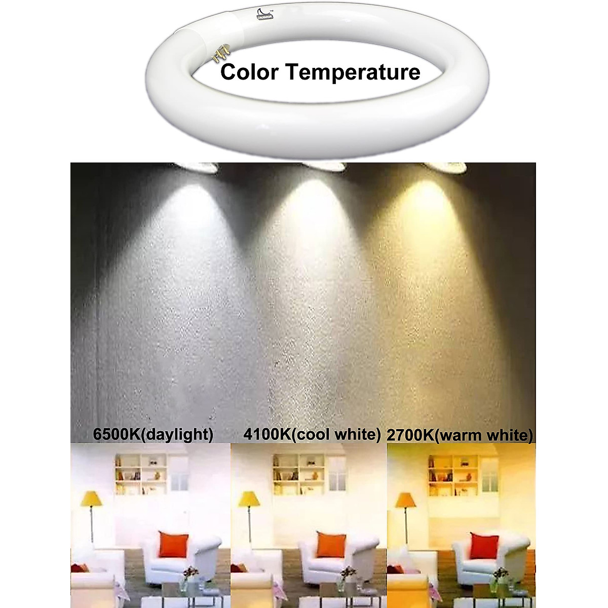 CHKADAWA Circular Bulb FC8T9/DL, 8 Inch T9 22W Circline Fluorescent Light Bulbs, Replacement Round Fluorescent Lamp Tube, Bright Daylight 6400K 1250 Lumens, G10q 4 Pin Base, 2 Pack