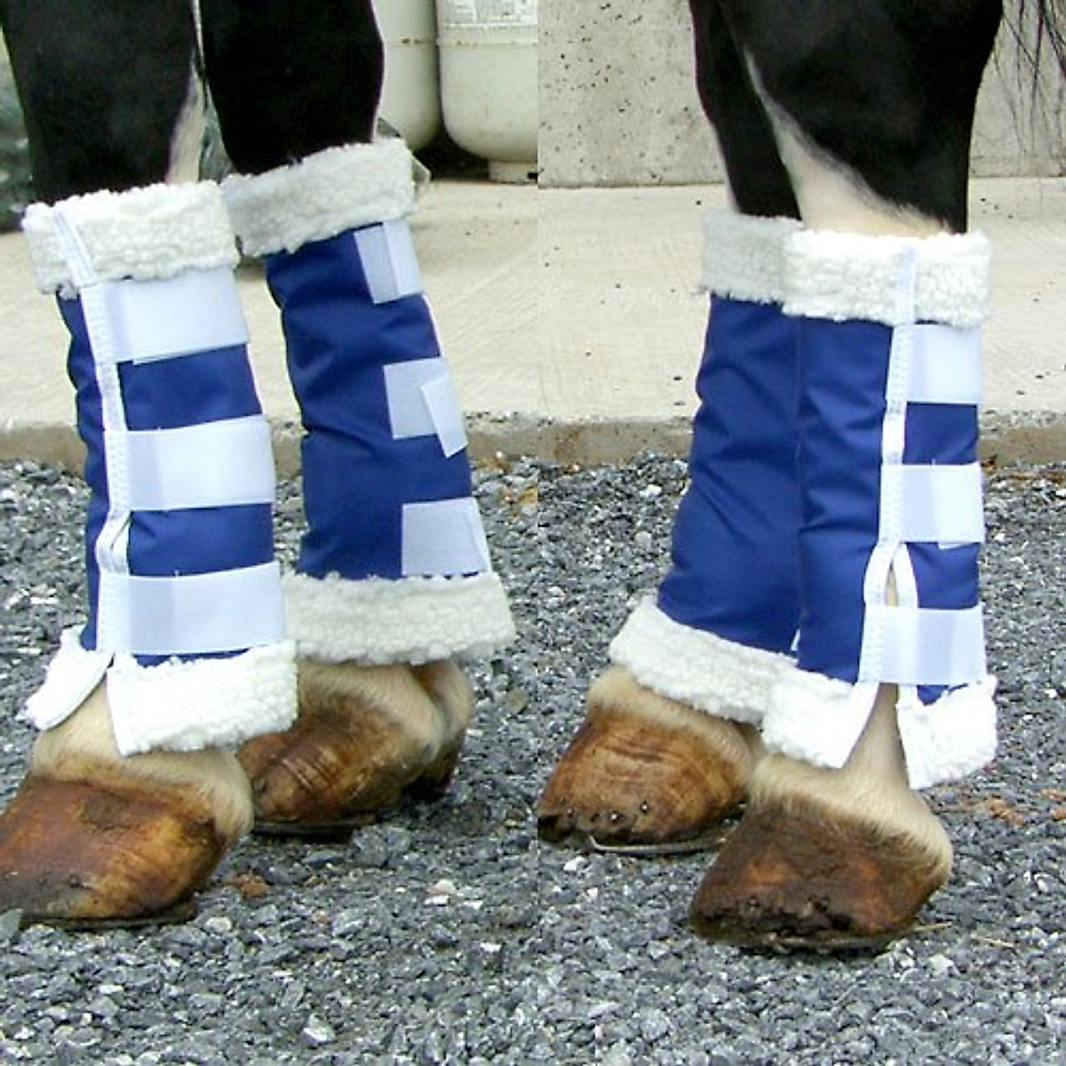 Intrepid International Nylon Cordura Shipping Boots (Set of 4), Blue