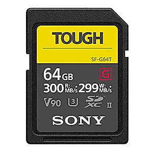 Panasonic LUMIX GH5s Mirrorless Camera Body with 64GB Card and Accessory Bundle