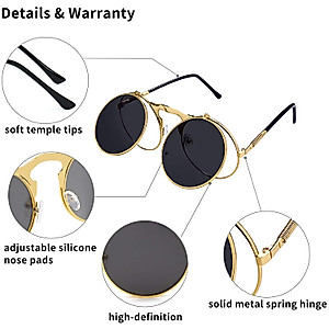 luojery Retro Round 80's Flip Up Steampunk Sunglasses Mirror Vintage Circle Sun Glasses Eyewear for Men Women (Gold Frame Grey Lens, as the picture)