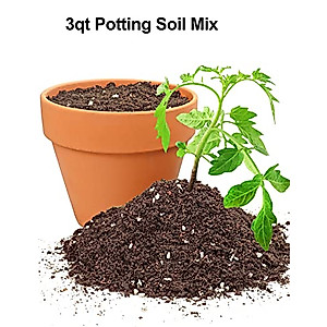 Sphagnum Peat Moss, Natural Bonsai Potting Mix, Succulent and Cactus Potting Soil, Organic Garden Growing Soil Amendment and Media, for Flowers, Vegetables, Herbs, Orchid, Indoor Houseplant, 3qt