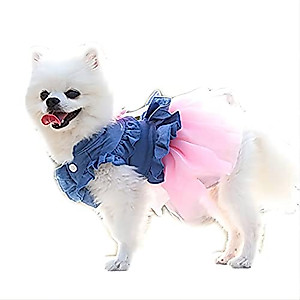 Harikaji Pet Clothes, Sweet Bowknot Small Dog Skirt Girl Tutu Clothing Puppy Cat Sleeveless Apparel Teddy Clothes Wedding Dresses for Spring and Summer (XL)