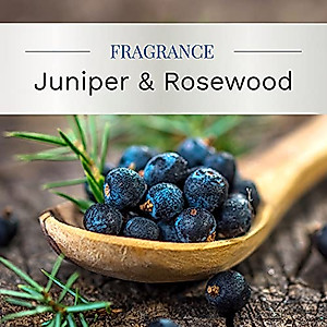 Essential Elements by Candle-lite Scented Candles, Juniper and Rosewood Fragrance, One 14.75 oz. Three-Wick Aromatherapy Candle with 45 Hours of Burn Time, Off-White Color