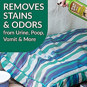 Bio Active Stain & Odor Remover for Pet & Carpet- Pet & People Safe - 32oz Spray