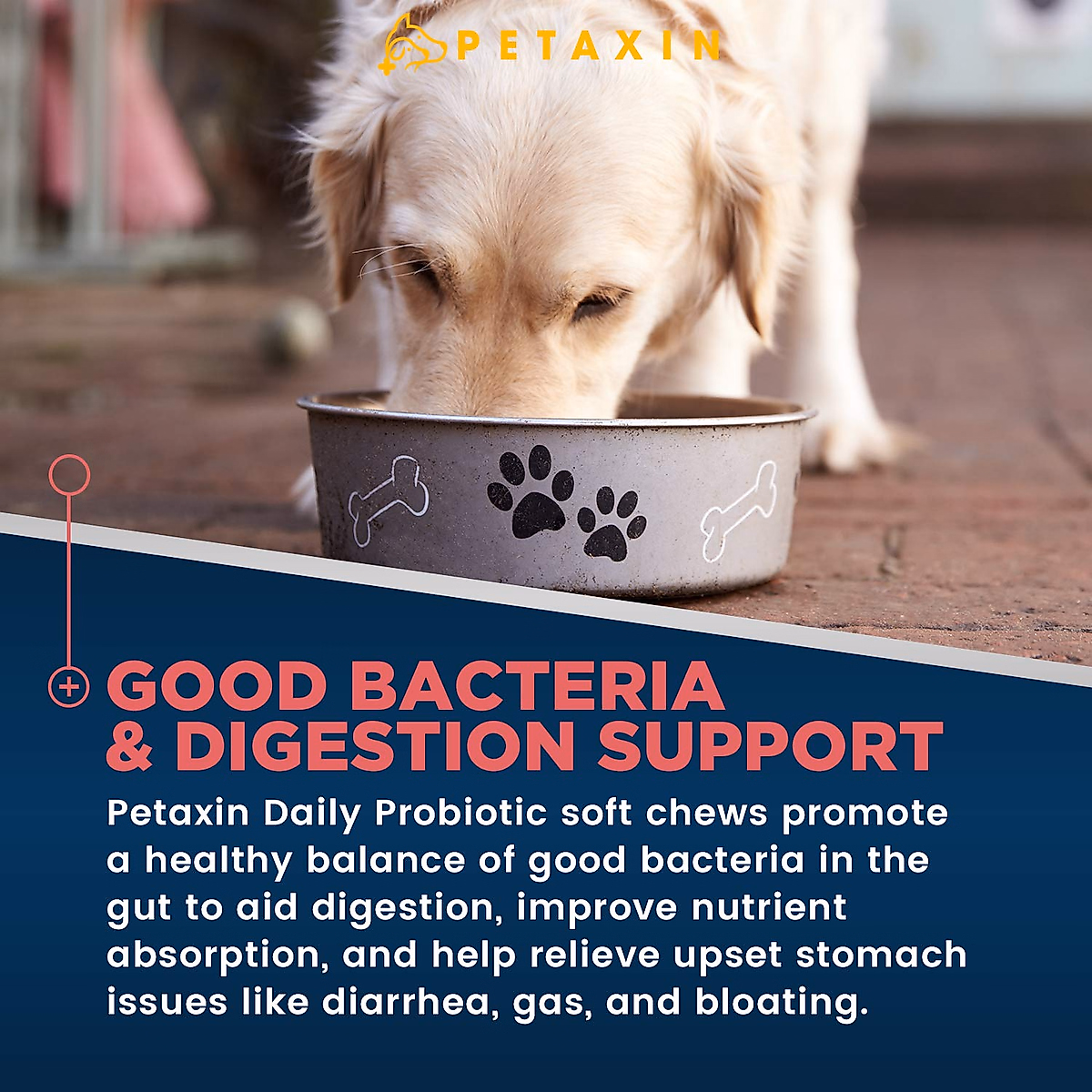 Petaxin Probiotics for Dogs - 6 Strains with Prebiotics - Supports Digestive and Immune System – Relief for Diarrhea, Bad Breath, Allergies, Gas, Constipation, Hot Spots - Made in USA - 120 Chews