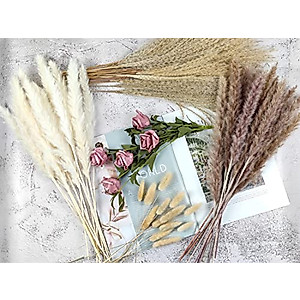 Pampas Grass Boho Home Decor, 75Pcs Natural Dried Carefully Hand-Picked Fluffy Pompas Grass 17", White & Brown Pampas Grass, Reed, Bunny Tails for Flower Arrangements Boho Wedding Home Décor